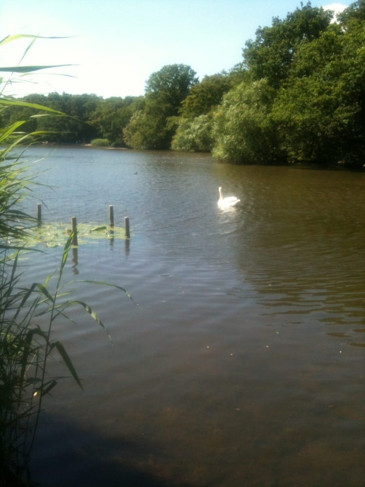 Chingford Plains - Parks - Epping Forest, Chingford, London, United ...