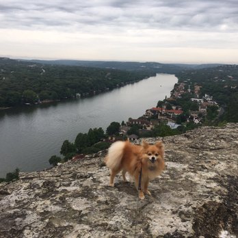 Mount Bonnell - 627 Photos & 291 Reviews - Hiking - 3800 Mt Bonnell Rd ...