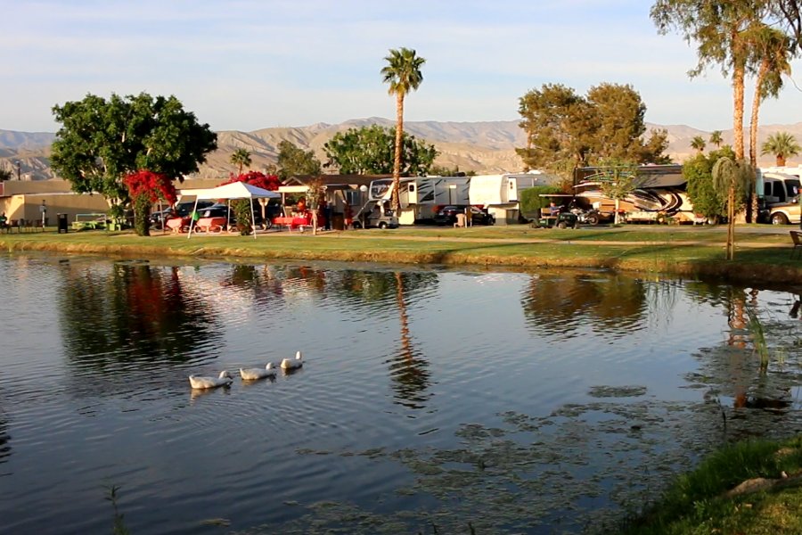 Shadow Hills RV Resort - 43 Photos & 78 Reviews - Campgrounds - 40-655 ...