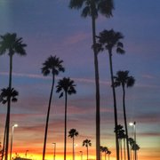 The Avenue Viera - 11 Photos & 12 Reviews - Shopping Centers - 2261 ...