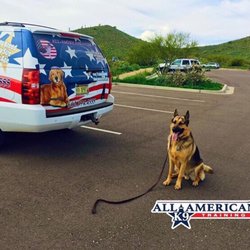 All-American K-9 Dog Training - 56 Photos & 49 Reviews - Pet Training ...