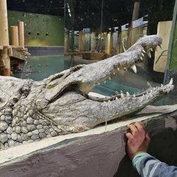 Reptilia - Zoos - 1400 Victoria Street E, Whitby, ON - Phone Number - Yelp