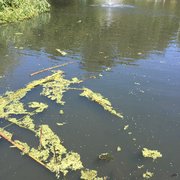 Montclair Recreation Center - 39 Photos & 17 Reviews - Recreation ...