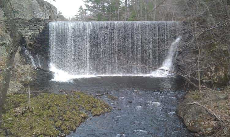 Puffer’s Pond - Parks - Mill St, Amherst, MA - Phone Number - Yelp