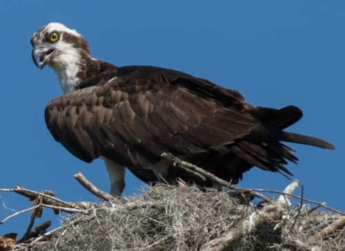 Salters, SC Map & Directions - MapQuest