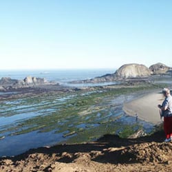 Seal Rocks RV Cove - 24 Photos & 11 Reviews - RV Parks - 1276 NW Cross ...