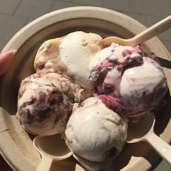 Wild Scoops - 173 Photos & 144 Reviews - Ice Cream & Frozen Yogurt ...