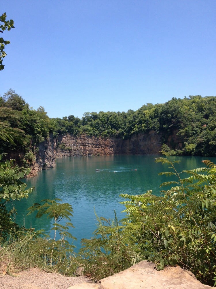 Fort Dickerson Park - 44 Photos - Parks - 3001 Fort Dickerson Rd SW ...