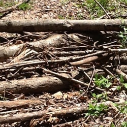 Rush Run Park - Parks - 200 Broadmeadow Blvd, Columbus, OH - Yelp