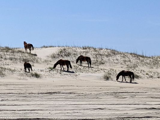 Barco, NC Map & Directions - MapQuest