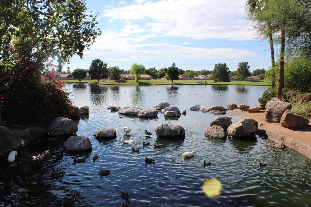 Freestone Park - 79 Photos & 60 Reviews - Parks - 1045 E Juniper Rd ...