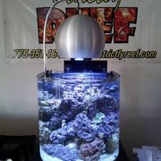 Strictly REEF - 24 Photos & 13 Reviews - Aquariums - 907 W Moana Ln ...