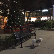 The Pruneyard Shopping Center - 33 Photos & 44 Reviews - Shopping ...