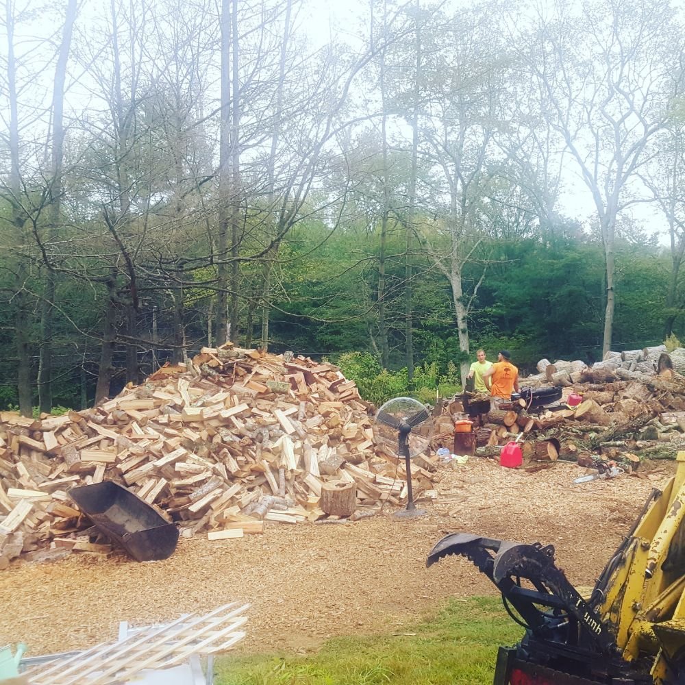 Ninja Tree Service - 6 Finn Rd, Canterbury, CT - 2019 All You Need to ...