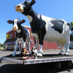 Jilbert Dairy - 2019 All You Need to Know BEFORE You Go (with Photos ...