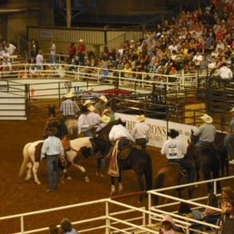 Mesquite Arena - Check Availability - 47 Photos & 34 Reviews ...