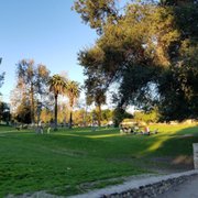 Garfield Park - 108 Photos & 72 Reviews - Tennis - 1000 Park Ave, South ...