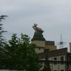 Erdal Rex - Home Services - Ingelheimstr. 1-3, Mainz, Rheinland-Pfalz ...