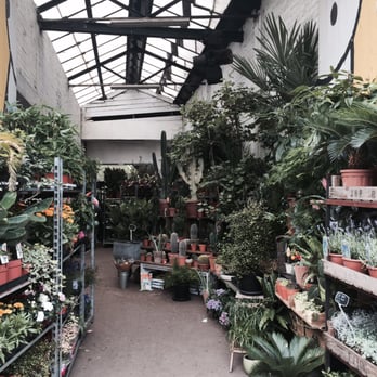 Flower Warehouse - Florists - 517a Cambridge Heath Road, Bethnal Green ...