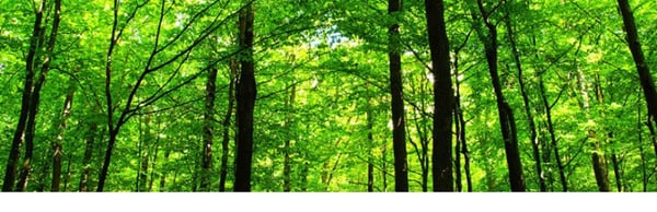 Beallsville, OH Map & Directions - MapQuest