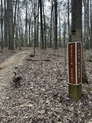 Ellenwood, GA Map & Directions - MapQuest