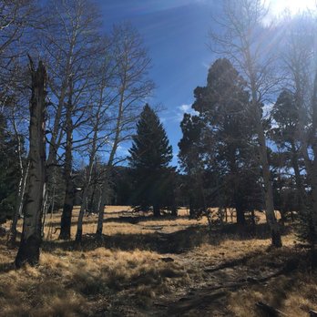 Aspen Nature Loop - Arizona Snowbowl, Flagstaff, AZ - 2019 All You Need ...