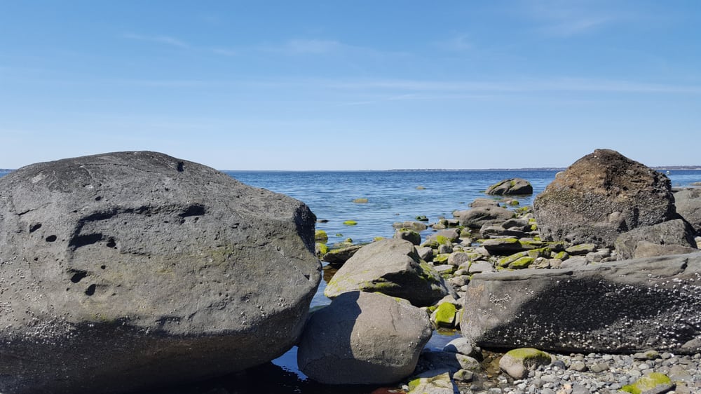 Colt State Park - 101 Photos & 58 Reviews - Parks - Hope St, Bristol ...