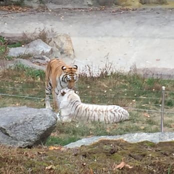 Southwick’s Zoo - 174 Photos & 133 Reviews - Amusement Parks - 2 ...