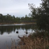 Desoto National Forest - Tuxachanie Trail POW Camp - 40 Photos - Hiking ...