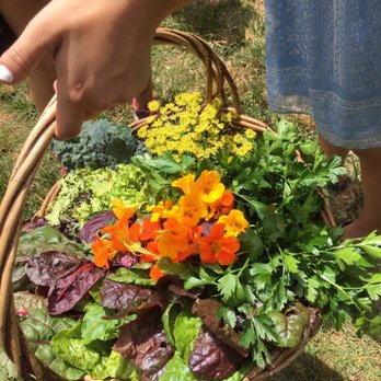 O’o Farms - 337 Photos & 127 Reviews - Food Tours - 651 Waipoli Rd ...