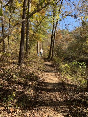 Sharpsburg, GA Map & Directions - MapQuest