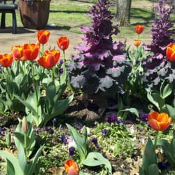 Grapevine Botanical Gardens - 127 Photos & 30 Reviews - Botanical ...