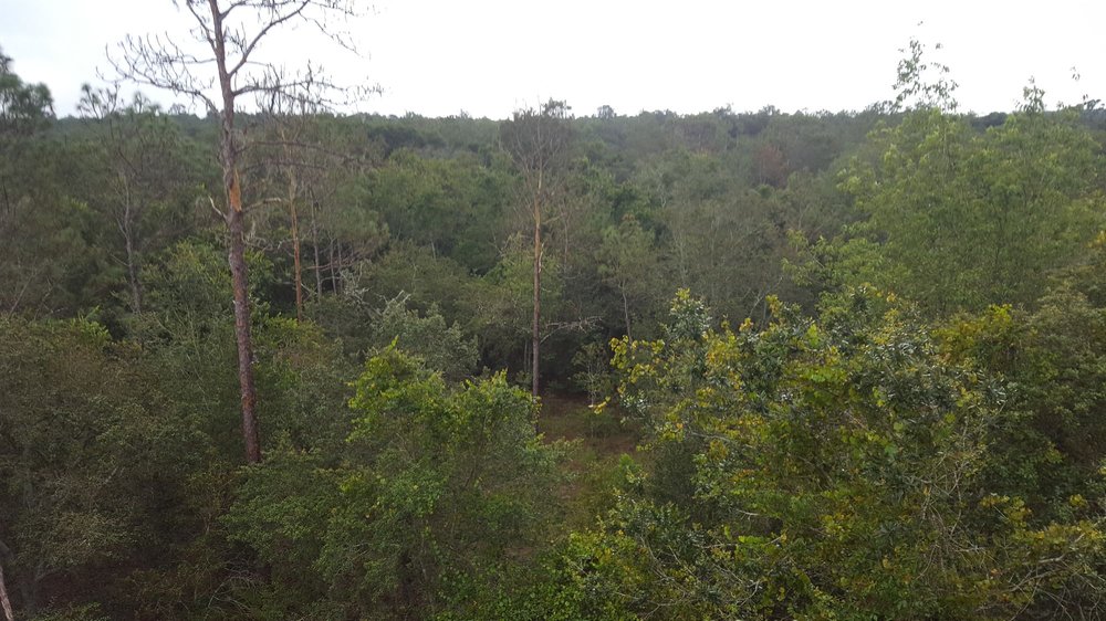 Withlacoochee River Park - 13 Photos - Parks - 12449 Withlacoochee Blvd ...