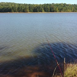 Holiday Campground - West Point Lake - 2019 All You Need to Know BEFORE ...