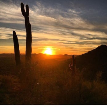 Cave Creek Regional Park - 70 Photos & 26 Reviews - Parks - 37019 N ...