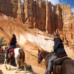 Canyon Trail Rides - 48 Photos & 31 Reviews - Horseback Riding - 280 W ...