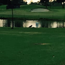 Mile Square Golf Course - 46 Photos & 111 Reviews - Golf - 10401 Warner ...