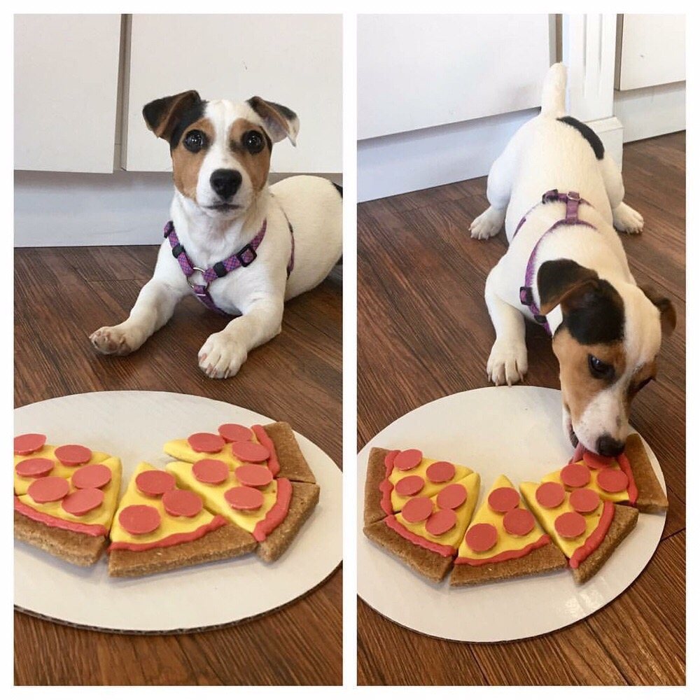 Just Dogs! Gourmet - 33 Photos - Pet Stores - 15400 Chenal Pkwy, Little ...