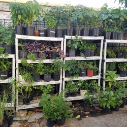 Botanica Nena - 15 Photos - Religious Items - 902 NW 27th Ave, West ...