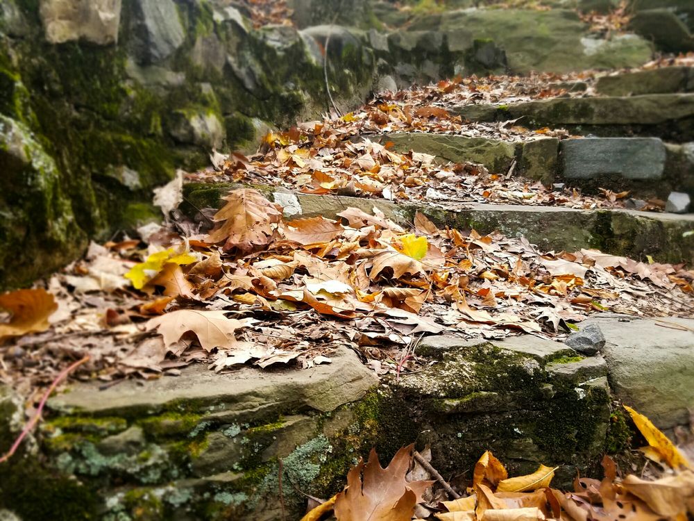 Garret Mountain Reservation - 73 Photos & 28 Reviews - Hiking ...