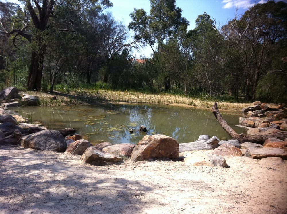 Rio Tinto Naturescape, Kings Park - Parks - Kings Park, Perth City ...