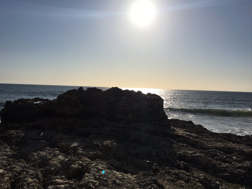 Sculptured Beach - 11 Photos - Beaches - Bear Valley Rd, Point Reyes ...