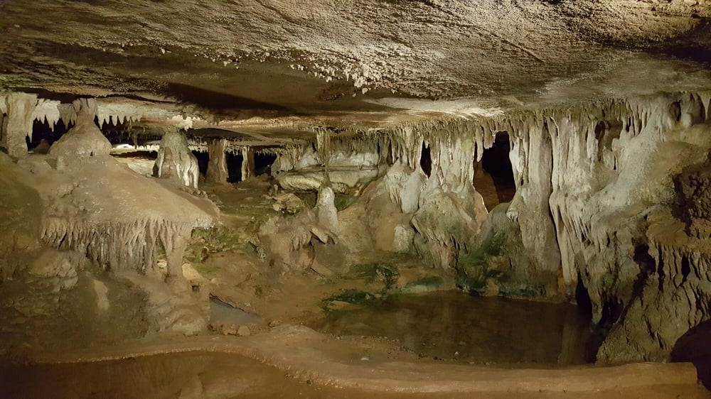 Racoon Caverns