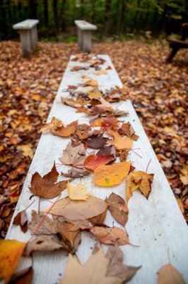 Pinconning, MI Map & Directions - MapQuest