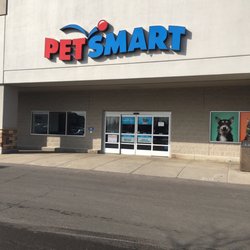 PetSmart - 17 Reviews - Pet Training - 1116 S Rochester Rd, Rochester ...