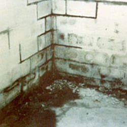 B-Dry System Of Michigan - 10 Photos - Contractors - 8175 Big Lake Rd ...