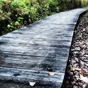 Stiglmeier Park - 46 Photos & 16 Reviews - Parks - 500 Losson Rd ...