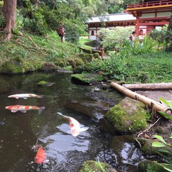 Hawaii Koi & Ponds - Get Quote - Aquarium Services - Honolulu, HI ...