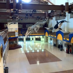 Homer High School - Middle Schools & High Schools - 600 E Fairview Ave ...