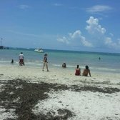 Key West Dog Beach - 24 Photos & 15 Reviews - Beaches - Vernon St And ...